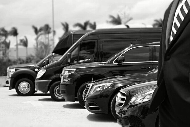 One-Way Transfer from the Airport to the Cruise Port - Comprehensive Review of the One-Way Transfer from the Airport to the Cruise Port