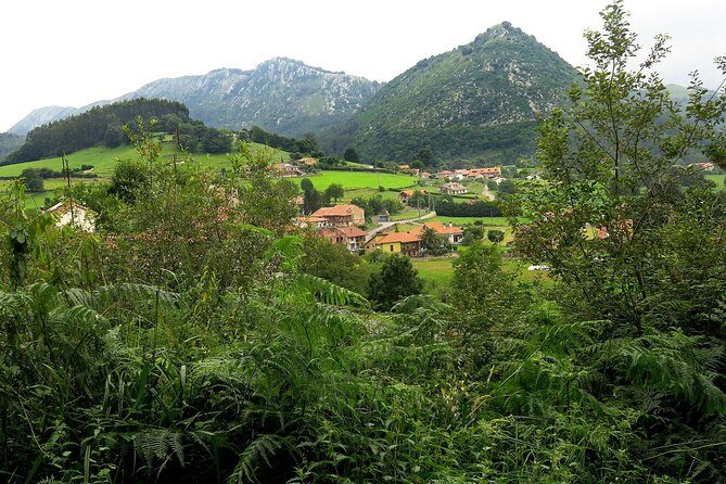 One Week Spanish Course At Your Tutor's Home In The North Of Spain - What to Expect from This Home-Focused Spanish Course