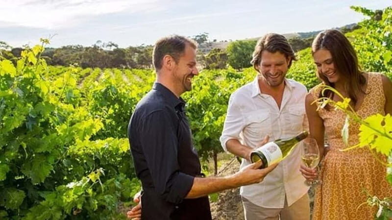 Ontario: Afternoon Wine Tour and Cheese Pairing - Discovering the Niagara-on-the-Lake Wine Scene