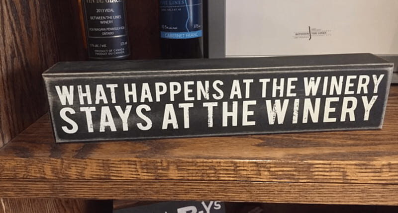 Ontario: Afternoon Wine Tour and Cheese Pairing - Final Considerations