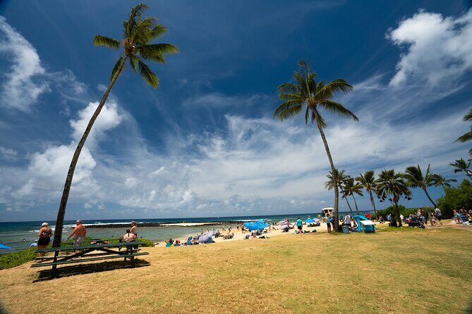 Opaeka'a falls, Spouting Horn, Poipu Beach - Who Should Consider This Tour