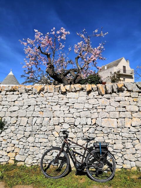 Open guided bike tour in Locorotondo and Alberobello - Final Thoughts