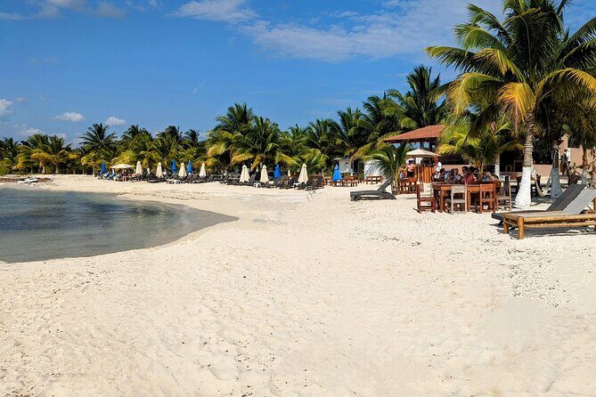 Open Top City Tour & Beach Break - Who Will Enjoy This Tour?