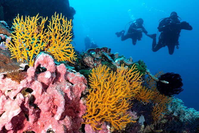 Open Water + Advanced Course - Premium Certifications Package in Pemuteran, Bali - The Broader Experience: What Makes Pemuteran Special