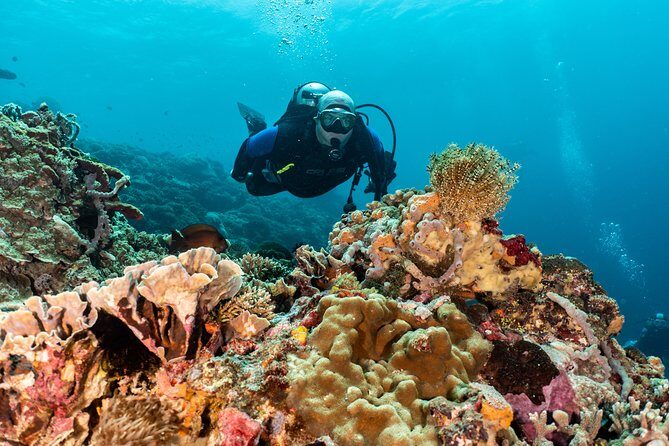 Open Water + Advanced Course - Premium Certifications Package in Pemuteran, Bali - The Bottom Line: Is It Worth It?