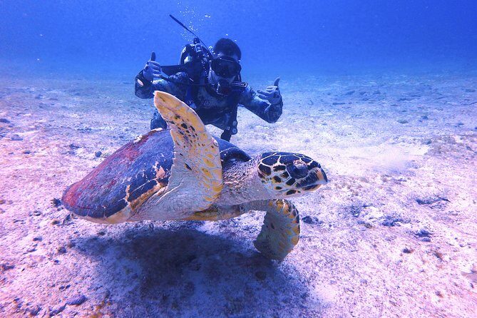 Open Water Certification Course-PADI - Experience Quality and Equipment