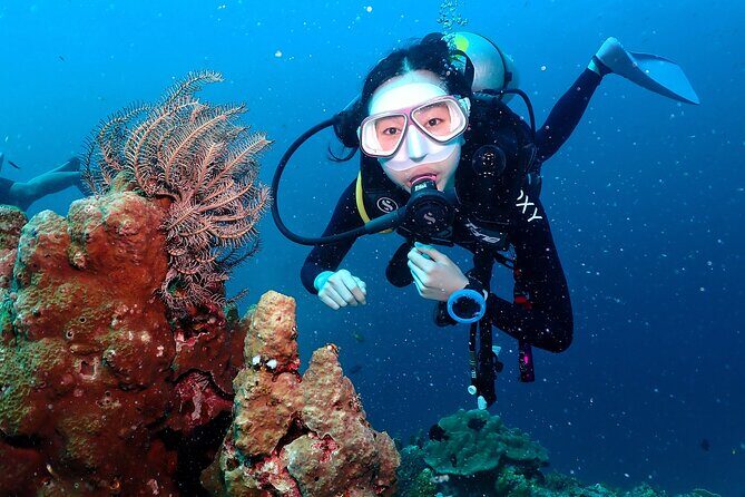 Open Water Course - Become certified diver in 3 days - Introduction: A Closer Look at Koh Tao’s Open Water Course