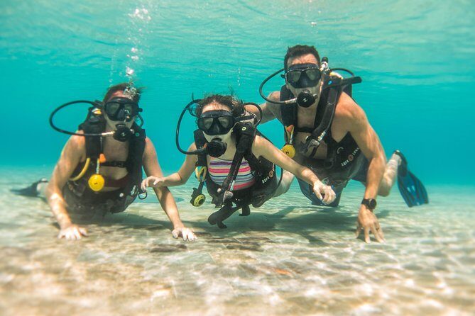 Open Water Course Cozumel - Who Will Love This Course?