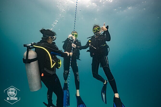 Open Water Course Cozumel - Frequently Asked Questions