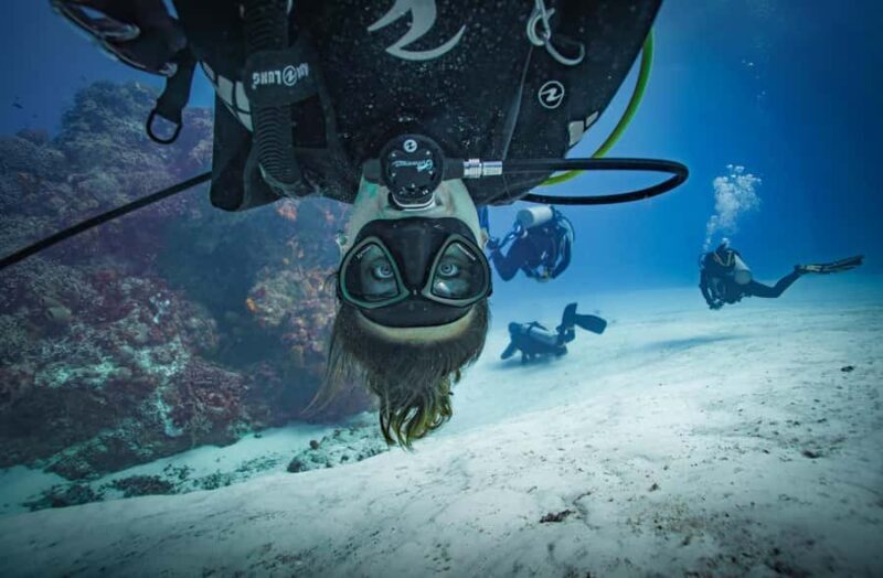 Open Water Course Dive Machine Experience - Key Points