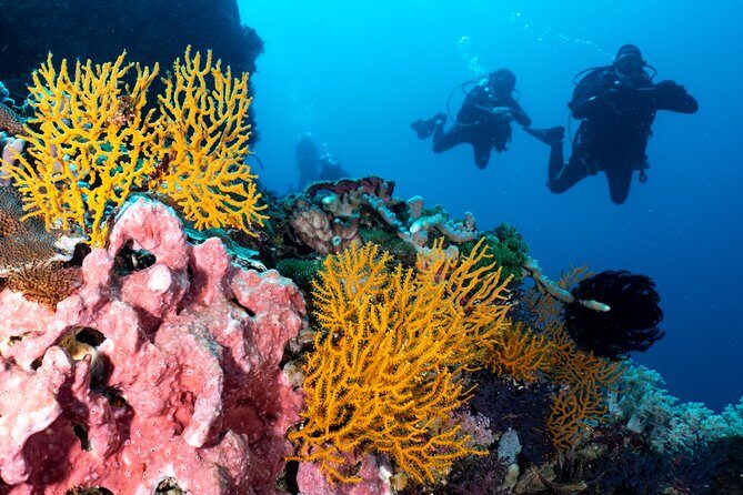 Open Water Course in Pemuteran - Get Certified in Bali - Frequently Asked Questions