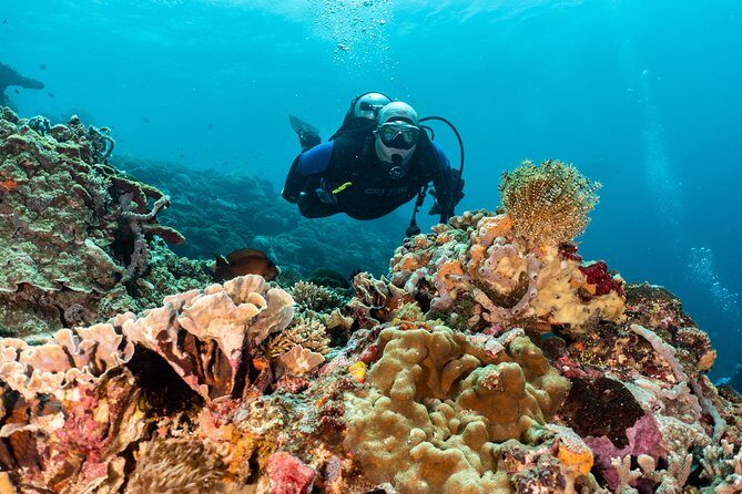 Open Water Course in Pemuteran - Get Certified in Bali - Final Thoughts