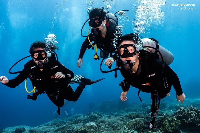 Open Water Course in Tulamben - Get Certified in Bali - Who Is This Tour Best For?