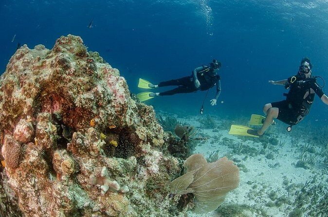 Open Water course Isla Mujeres - FAQ