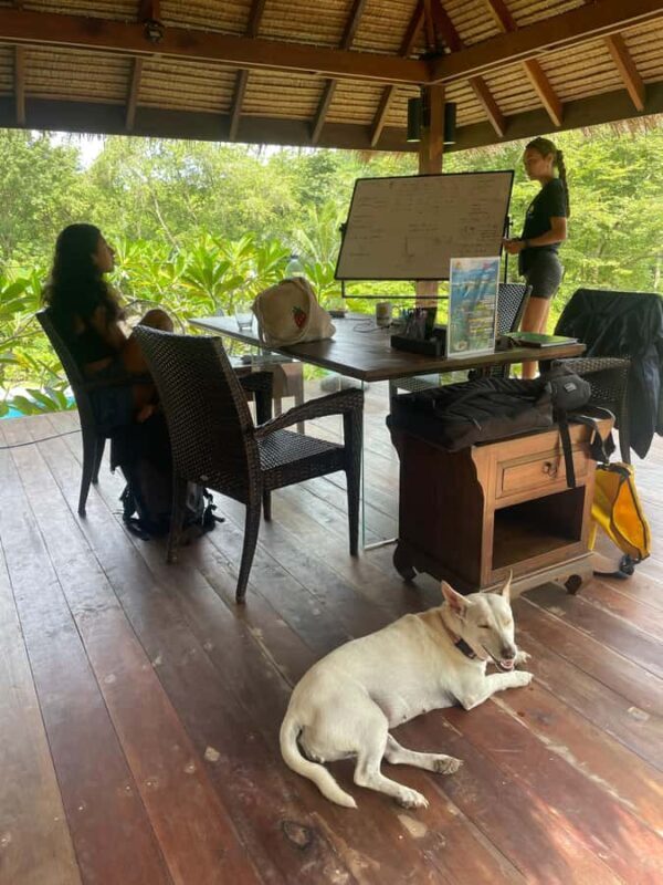 Open Water Course Koh Tao  2.5 Days + Free Hotel Pick up - FAQ