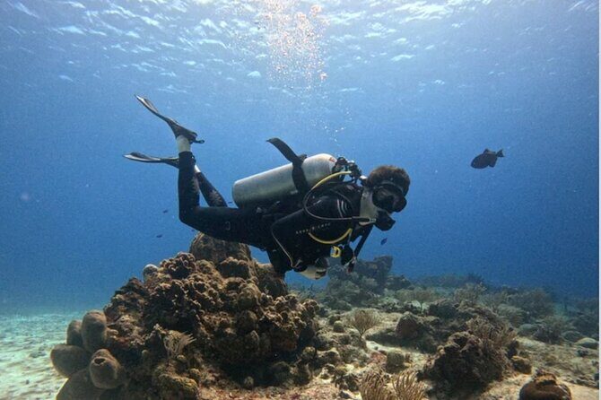 Open Water Diver Course - Introduction
