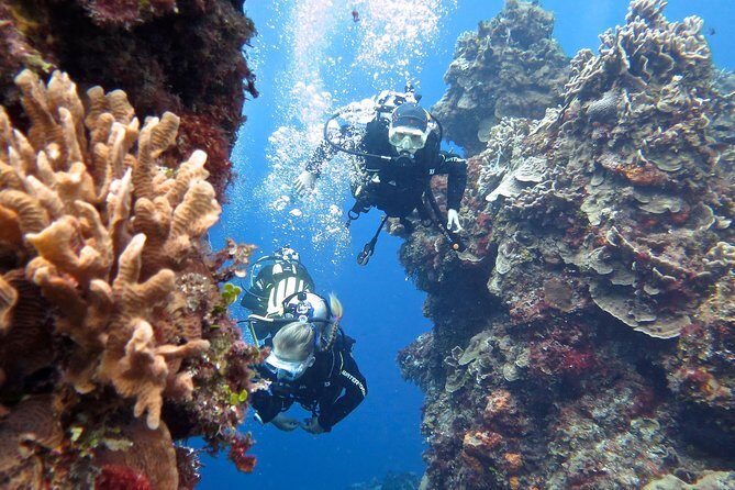 Open Water Diver course PADI in Cancun - Who Should Consider This Course?