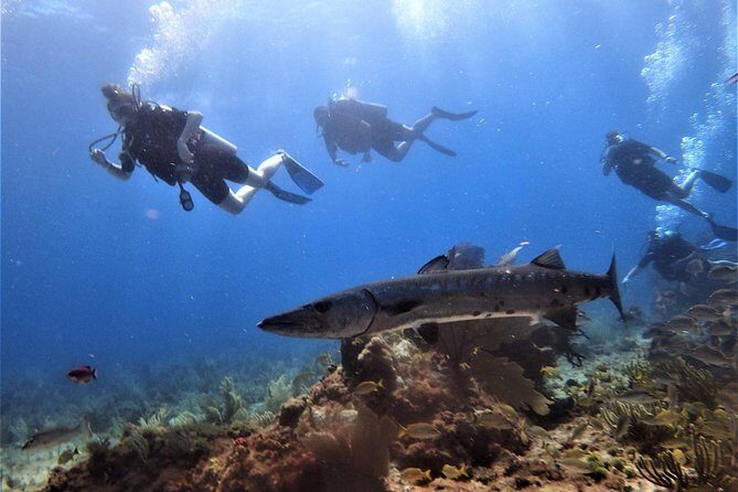 Open Water Diver course PADI in Cancun - Final Thoughts: Is It Worth It?