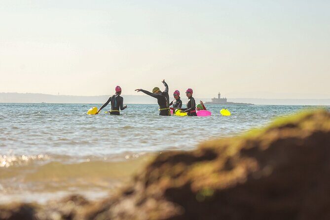 Open-Water Swimming in Cascais - Detailed Breakdown of the Experience