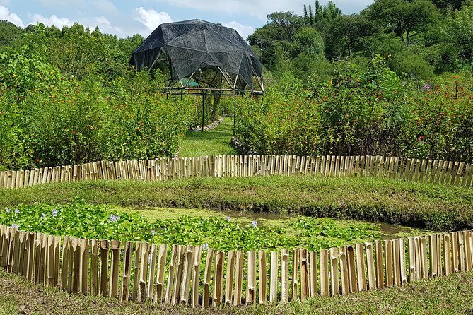 Openwork butterfly garden - What Makes This Butterfly Garden Special?