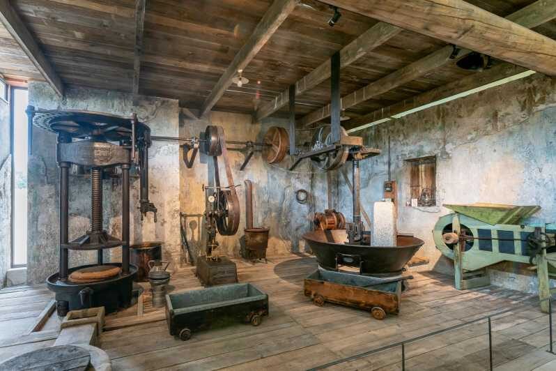 Oppède: Olive Oil Museum Visit - Oppède: Olive Oil Museum Visit – A Practical Guide to Provence’s Liquid Gold