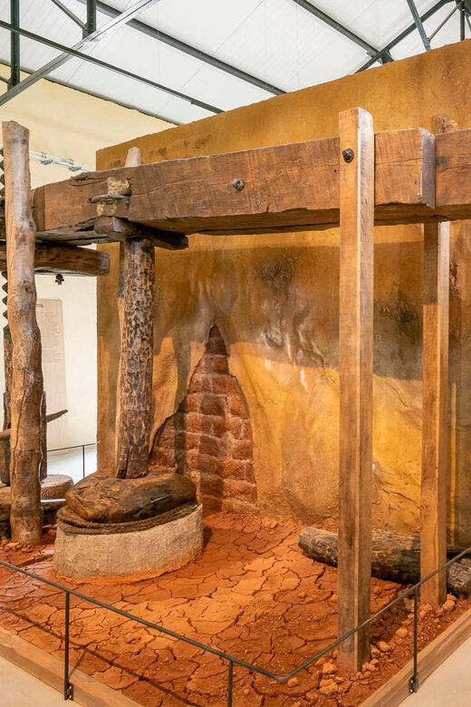Oppède: Olive Oil Museum Visit - An Introduction to the Olive Oil Experience