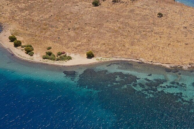 Orak island Boat Tour - The Experience Itself: What You Can Expect