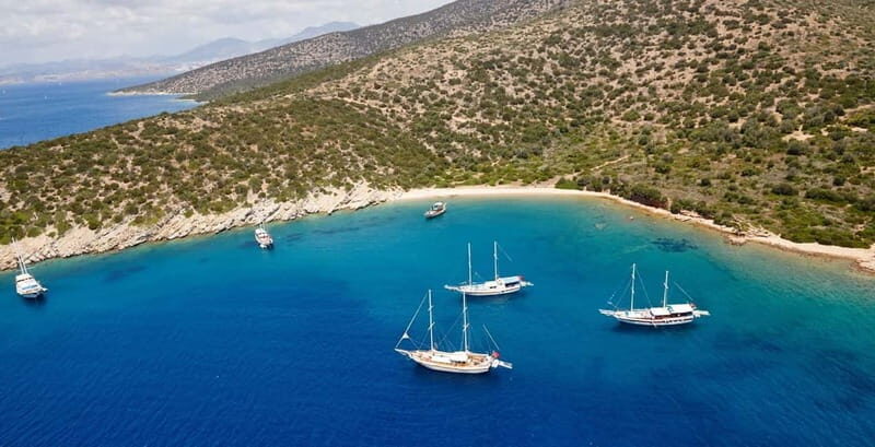 Orak island Boat Trip Bodrum - Key Points
