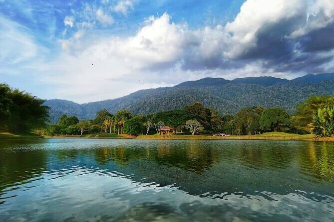 Orang Utan Island Day Tour - The Sum Up: Who Is This Tour Best For?