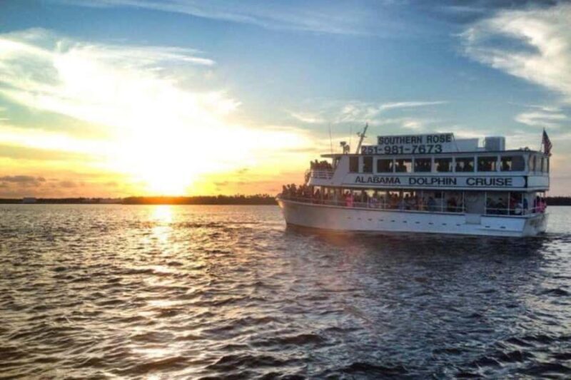 Orange Beach: Dolphin Cruise - Who Should Consider This Tour?