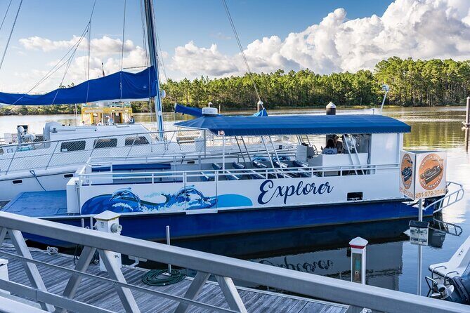 Orange Beach Dolphin Eco Boat Tour - Value for Money