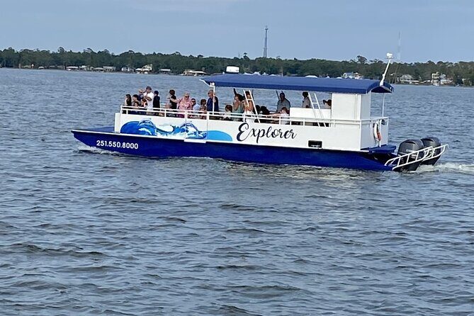 Orange Beach Dolphin Eco Boat Tour - Customer Feedback & Authentic Experiences