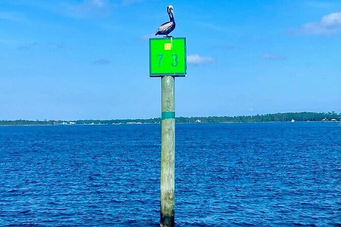 Orange Beach Dolphin Eco Boat Tour - The Sum Up