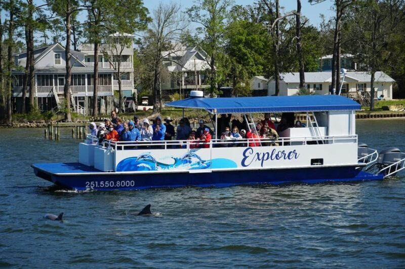 Orange Beach: Dolphin Eco Sunset Cruise aboard The Explorer - Setting the Scene: What to Expect on the Dolphin Eco Sunset Cruise