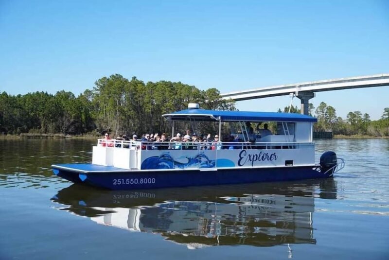 Orange Beach: Dolphin Eco Sunset Cruise aboard The Explorer - The Sunset Moment: A Picture-Perfect End