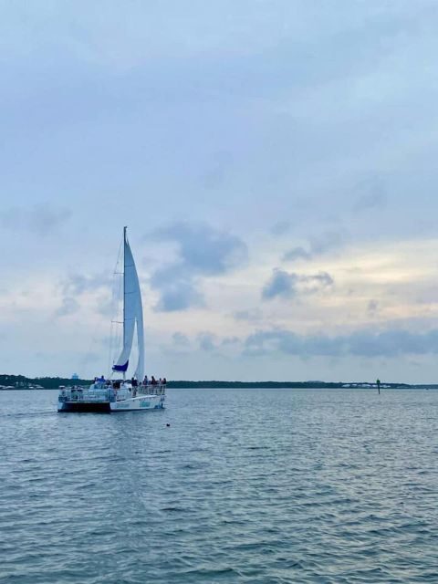 Orange Beach: Dolphin & Sailing Cruise Aboard 52' Catamaran - A Closer Look at the Experience