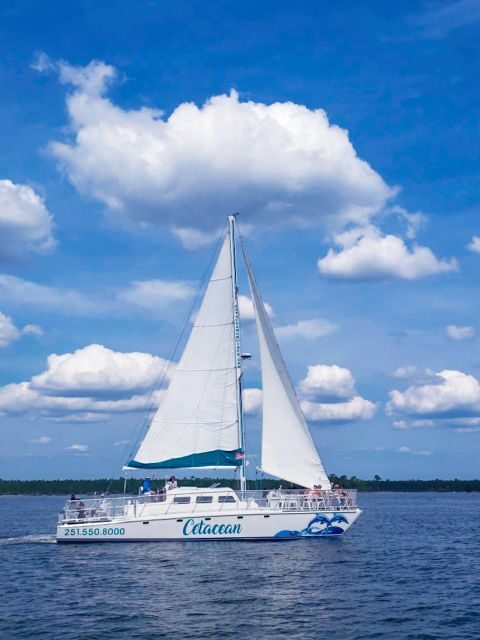 Orange Beach: Dolphin & Sailing Cruise Aboard 52' Catamaran - Why You’ll Love the Experience