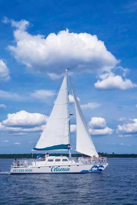 Orange Beach: Dolphin & Sailing Cruise Aboard 52' Catamaran - Practical Tips for a Smooth Trip