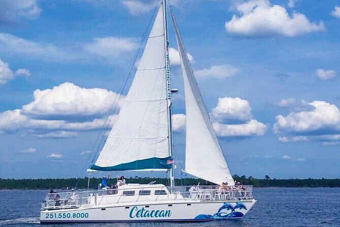 Orange Beach Dolphin Sailing Cruise aboard Catamaran - The Vessel and Its Benefits