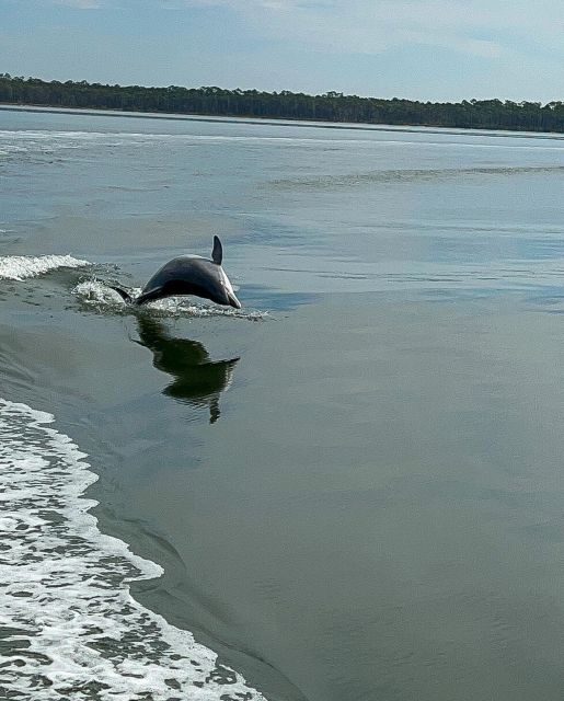 Orange Beach: Dolphin-Watching Eco-Boat Tour - The Experience on Board