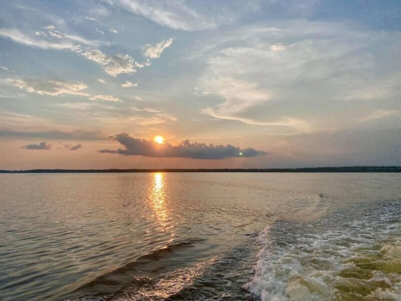Orange Beach: Sunset Sailing Cruise Aboard The Cetacean - Setting Sail in Style — What You Can Expect