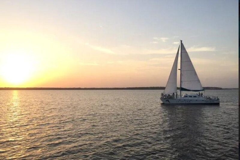 Orange Beach: Sunset Sailing Cruise Aboard The Cetacean - Authentic Feedback from Guests
