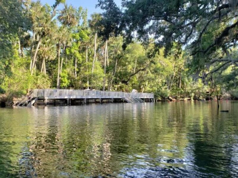 Orange City: Blue Spring State Park St. Johns River Cruise - A Deep Dive into the Experience