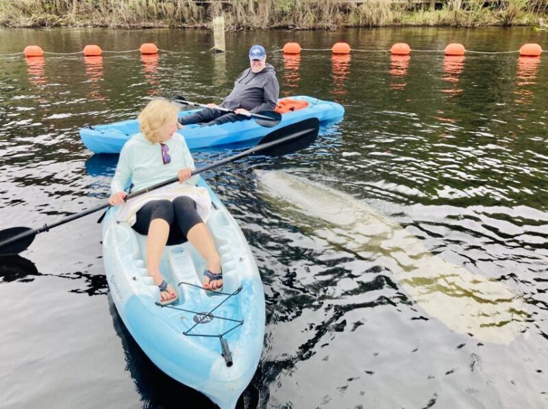 Orange City: Blue Spring State Park SUP & Kayaking Tour - What Is This Tour About?