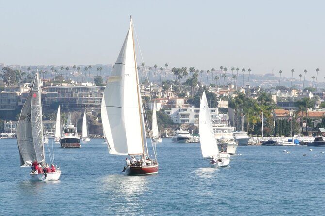 Orange County Beach Cities Highlights Private Full Day Tour - The Sum Up