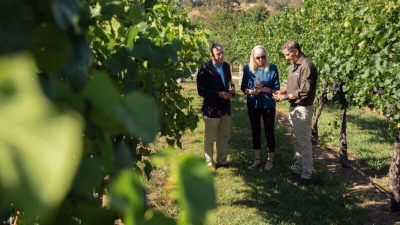Orange: Explore with Swinging Bridge - Guided Tour & Tasting - Key Points