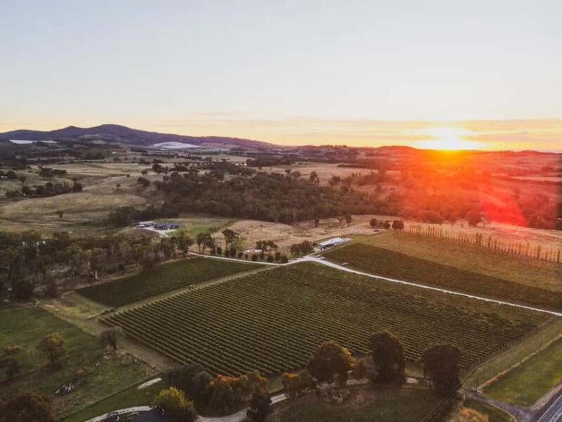 Orange: Savour with Swinging Bridge - Wine & Canapé Tasting - What to Expect During Your Tasting