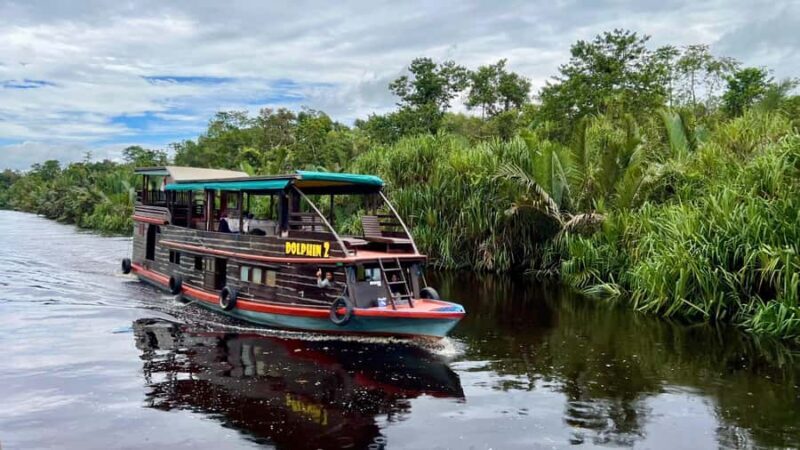 OrangUtan Borneo Pangkalan Bun 3Days Jungle Cruise Adventure - The Sum Up