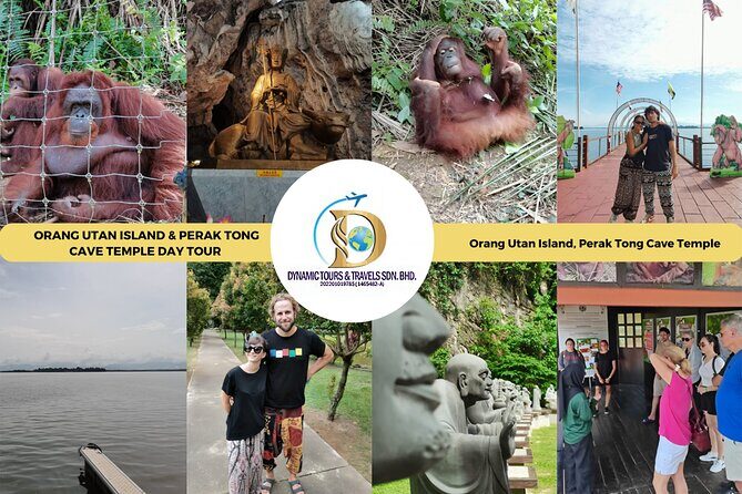 Orangutan Island & Perak Tong Cave Temple Tour from Kuala Lumpur - An In-Depth Look at the Tour Experience