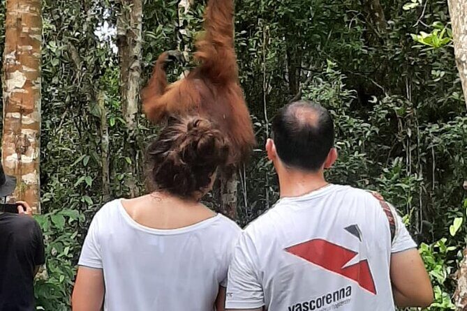 Orangutan Tanjung Puting Honeymoon CoupleTour - Review of the Orangutan Tanjung Puting Honeymoon Couple Tour